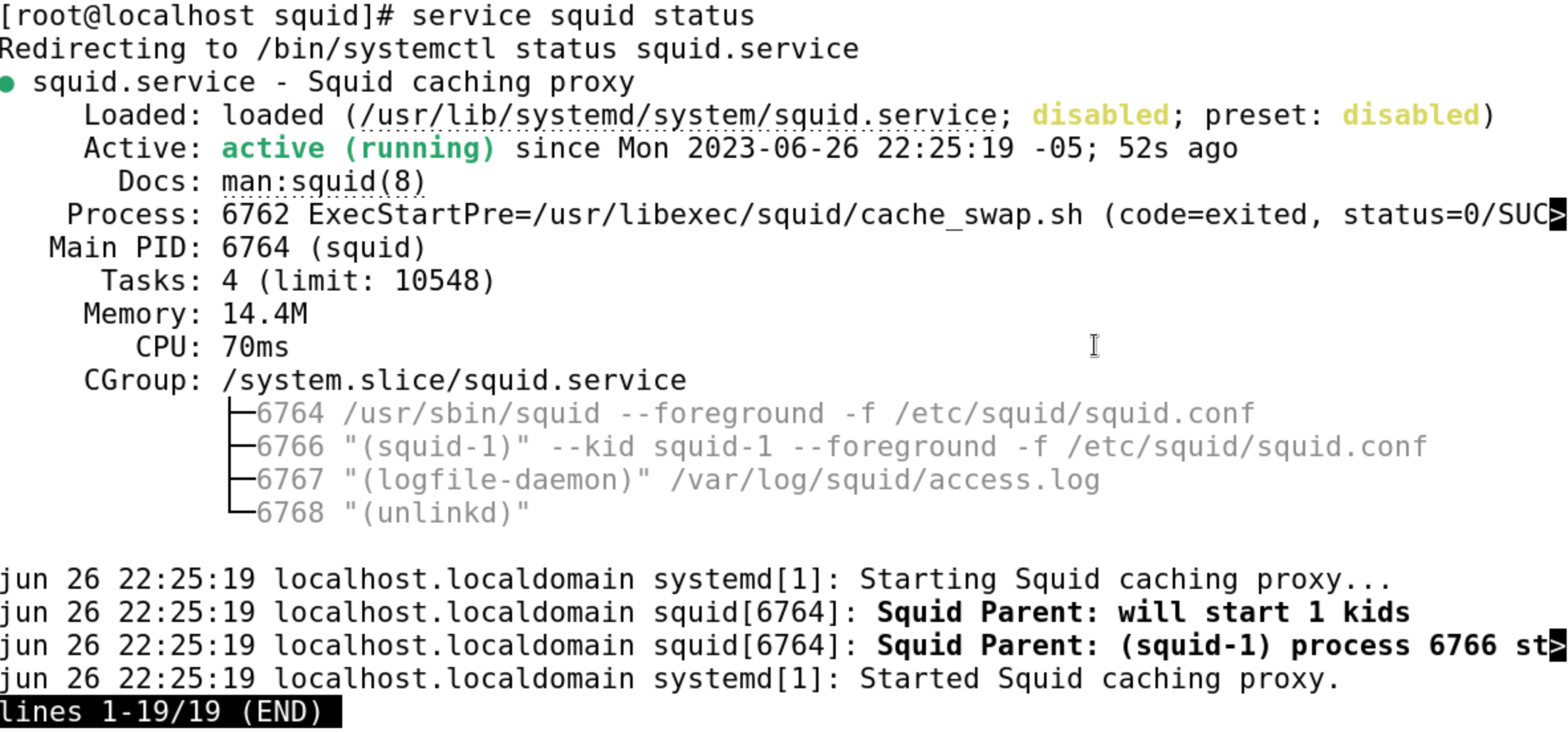 PROFESORA ADRIANA COLLAGUAZO JARAMILLO | PROFESORA ADRIANA COLLAGUAZO JARAMILLO