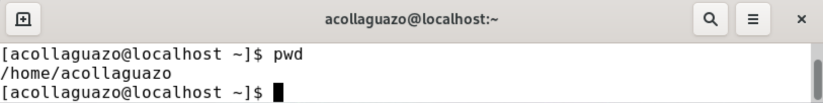 PROFESORA ADRIANA COLLAGUAZO JARAMILLO | PROFESORA ADRIANA COLLAGUAZO JARAMILLO